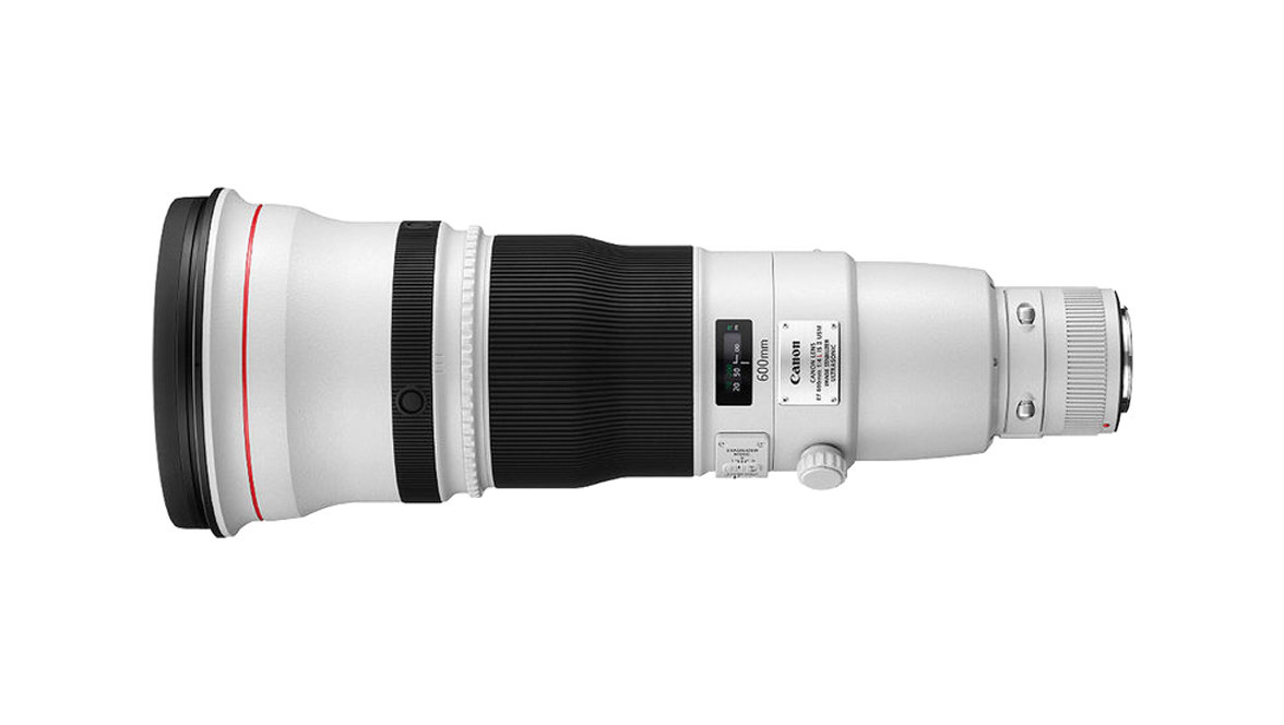 Canon 600mm IS II USM L-Series Prime f/4.0 - EF Mount | Still Lenses ...